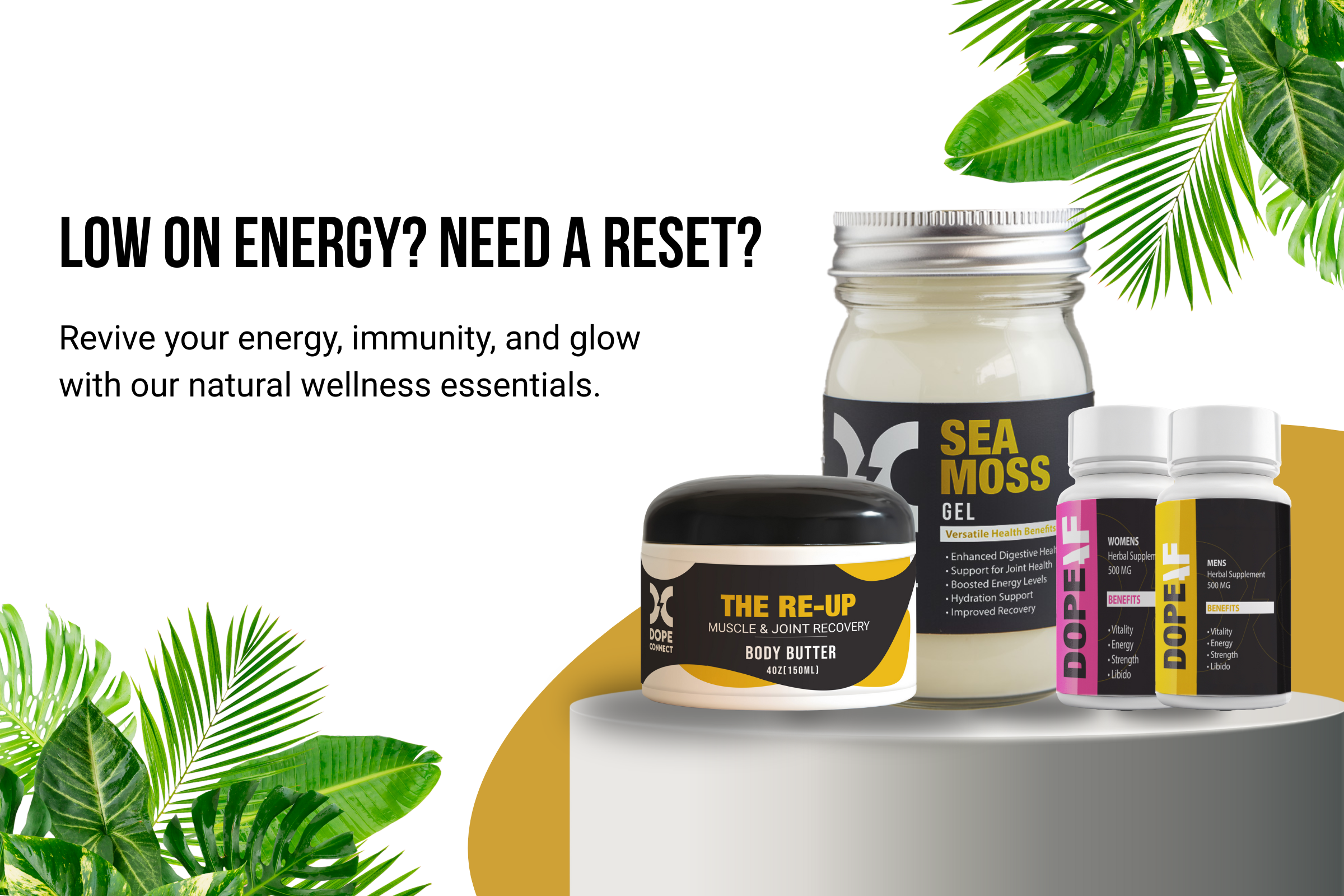 Wellness – Kerry Berry
